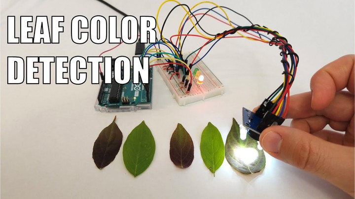 Detect Discolored Leaves With An Arduino Color Sensor Science Project