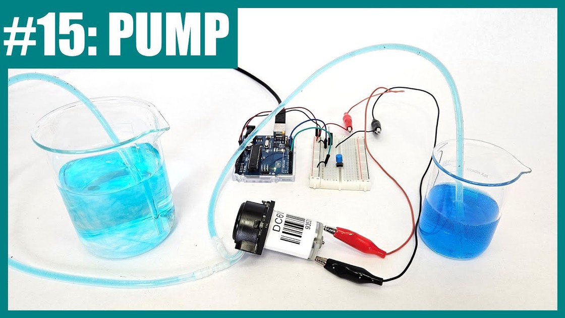 Build A Circuit To Automatically Water Your Plants Science Project