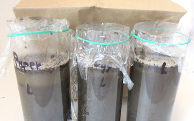 Soil Science: Study Microorganisms in Winogradsky Columns | STEM Activity