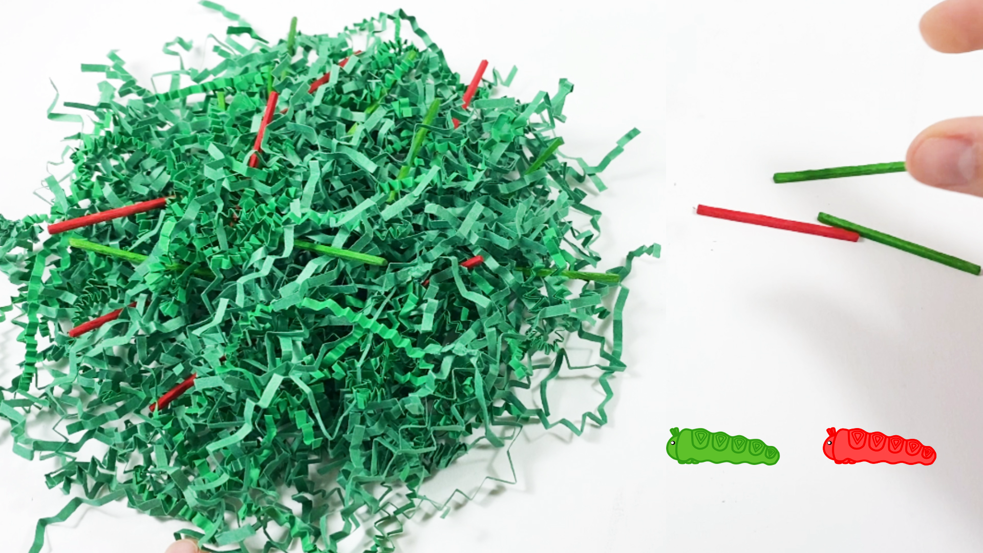 Can You Hide in Plain Sight? | STEM Activity