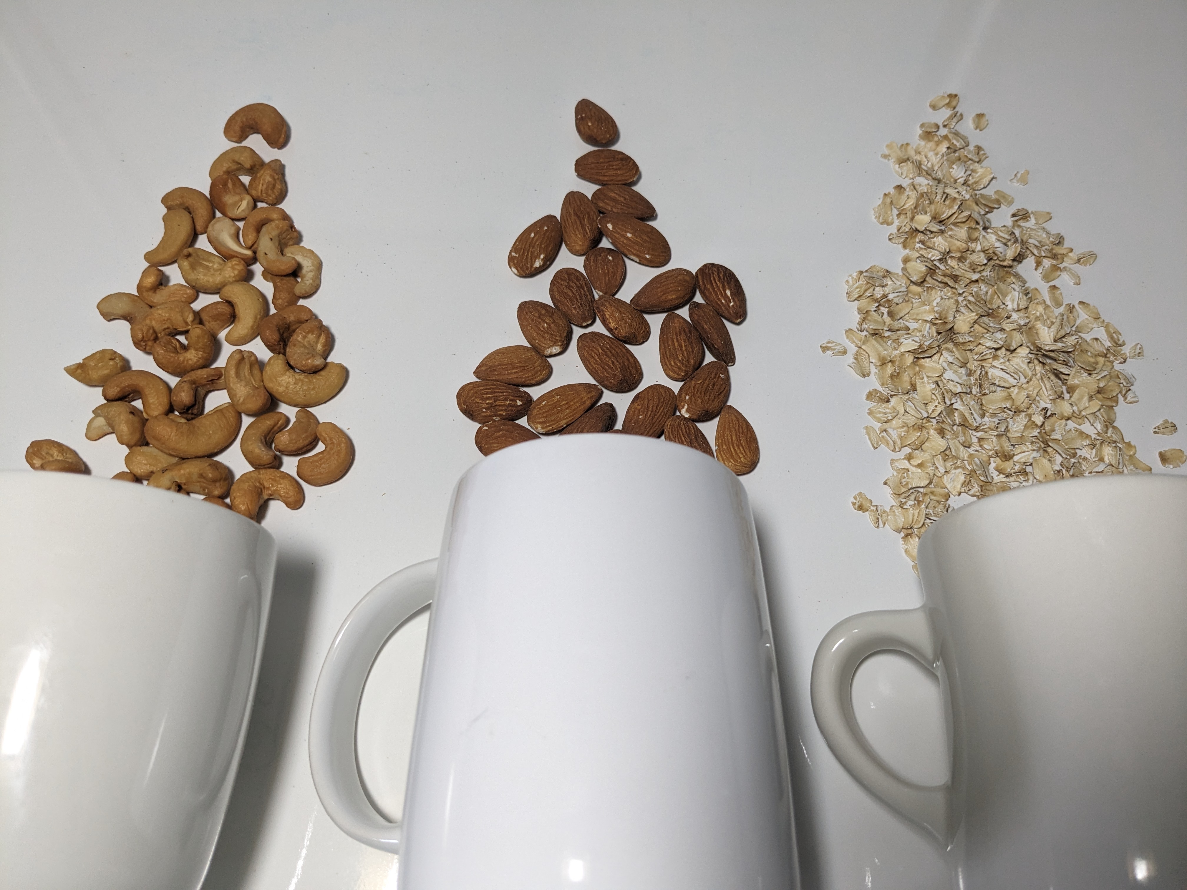 Protein Content of Different Plant-Based Milk Sources | Science Project
