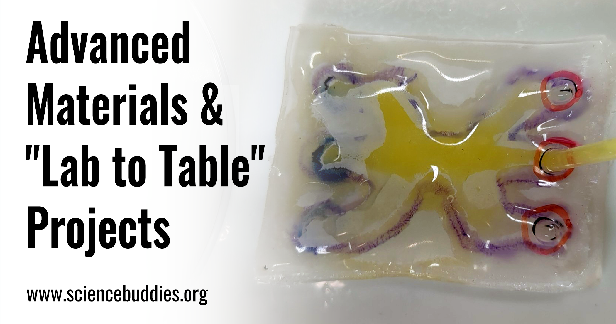 Advanced Materials and "Lab to Table" Sustainability Science Projects ...