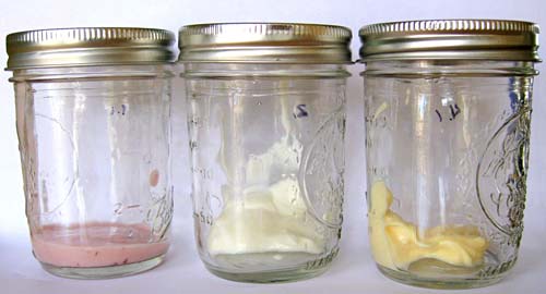Yogurt Cultures | Science Project