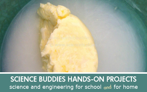 Weekly Science Project Idea/Home Science Activity Spotlight: Shake Up ...