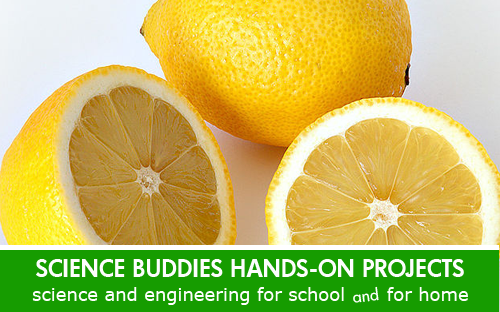 Taste Bud Science: Weekly Science Project Idea and Home Science ...