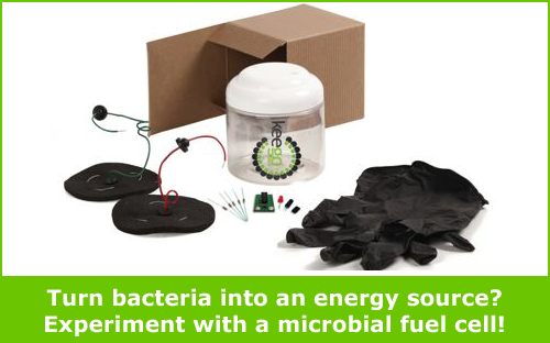 Microbial Fuel Cells: On the Hunt for Renewable Energy | Science ...
