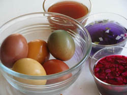 Hard-Boiled Science | Science Buddies Blog