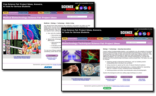 New Biotechnology Areas: Medical Biotechnology and Biotechnology ...