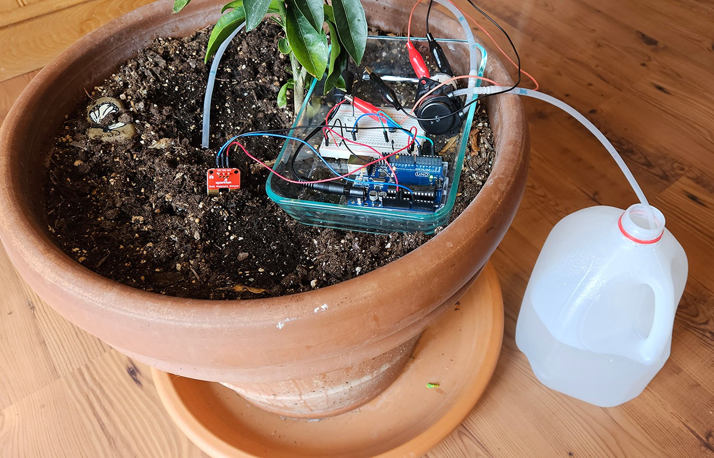 Build A Circuit To Automatically Water Your Plants Science Project